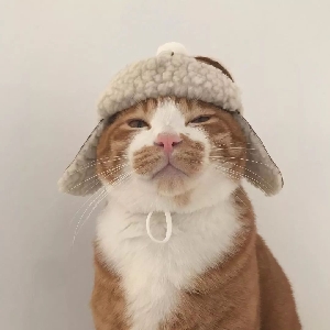 高尔ji的夫 