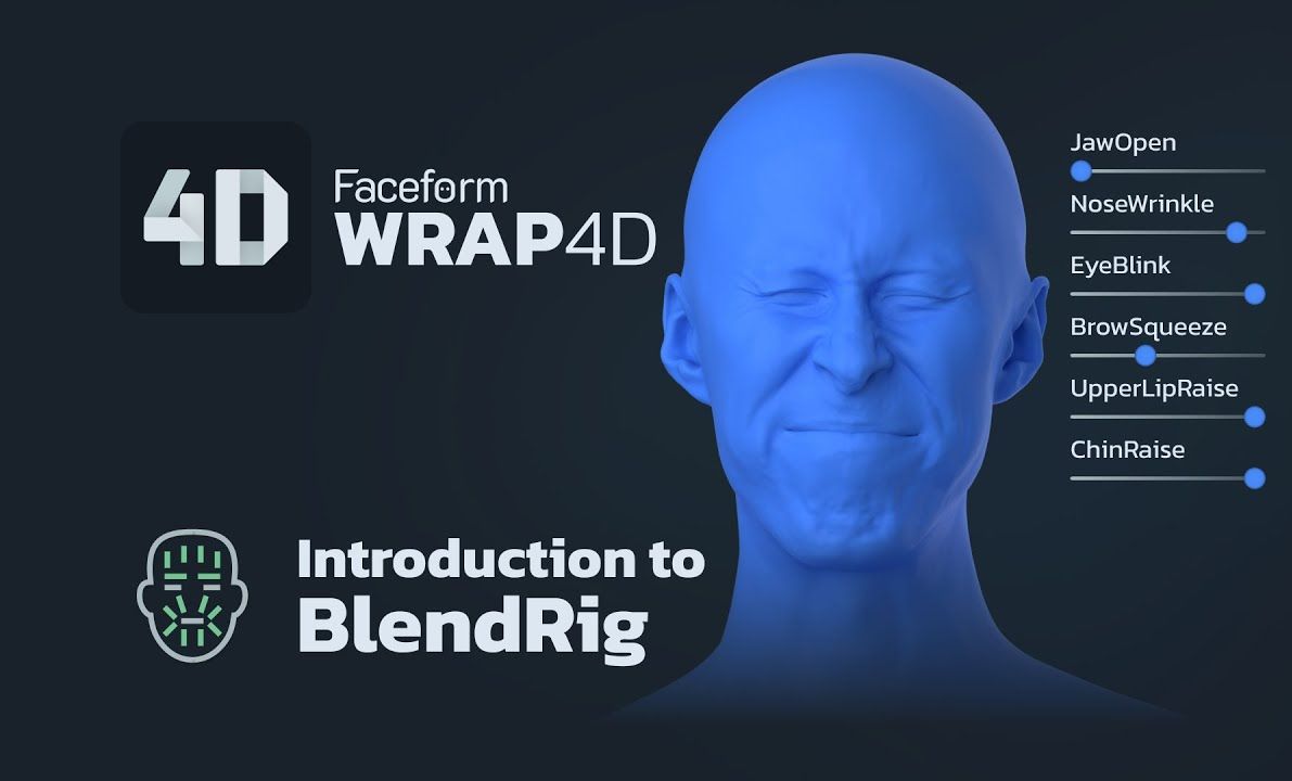 Wrap 4D !BlendRig 介绍 !