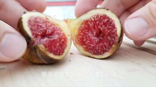 无花果的秘密:每一颗里都藏着生命的奇迹!
