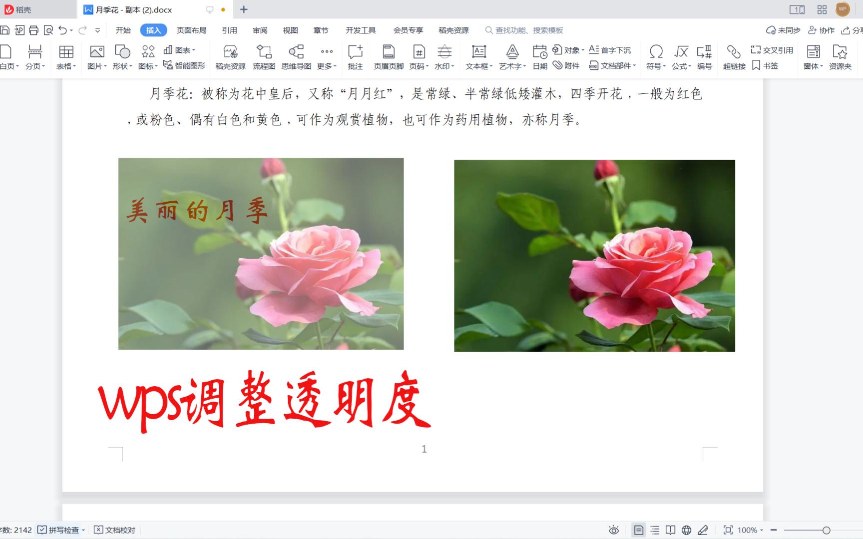 wps调整图片的透明度,让文字与图片呈现若隐若现的效果
