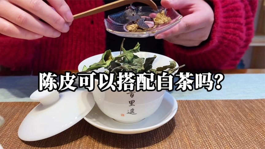 「第185期」你喝过陈皮白茶吗?有什么好处?陈皮白茶的冲泡方法