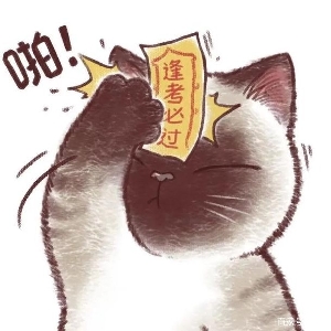 B站改名称6硬币 