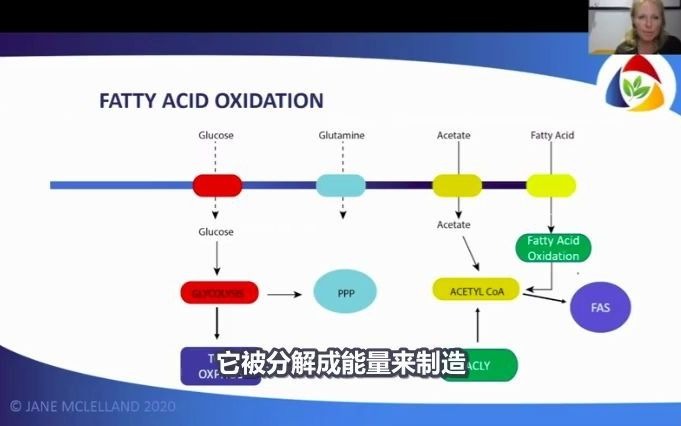 ...课——通过控制脂肪酸氧化通路和脂肪酸合成通路来抑制癌细胞大量...
