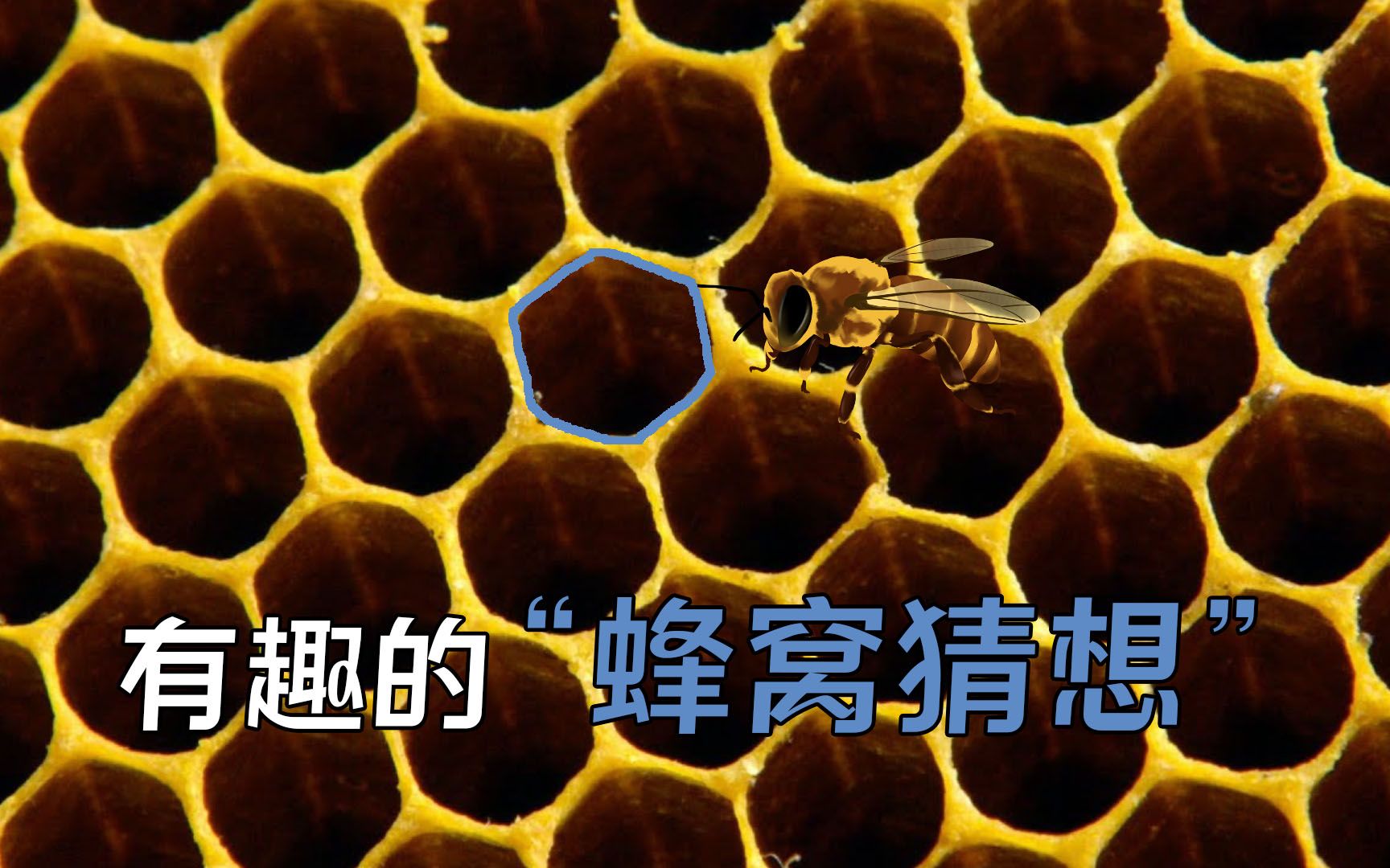 困扰科学家多年的问题:为何蜂窝的形状,总是六边形?
