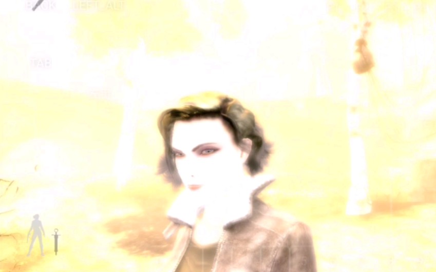 冷艳的(天鹅绒女刺客)试玩/overlay 0.0.8/exagear模拟器