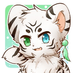 猫咪运转bot 