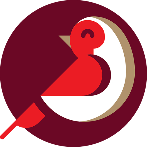 习美君 