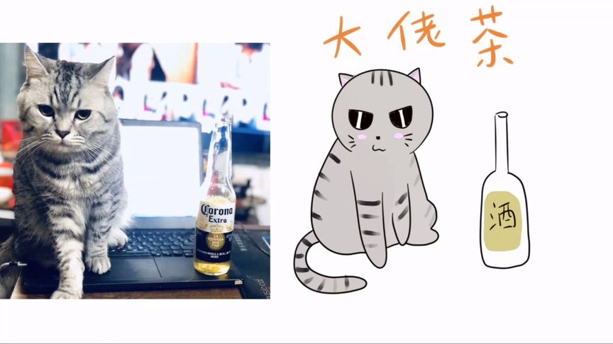 简笔画式撸猫,我把你画成画,最可爱的一副画