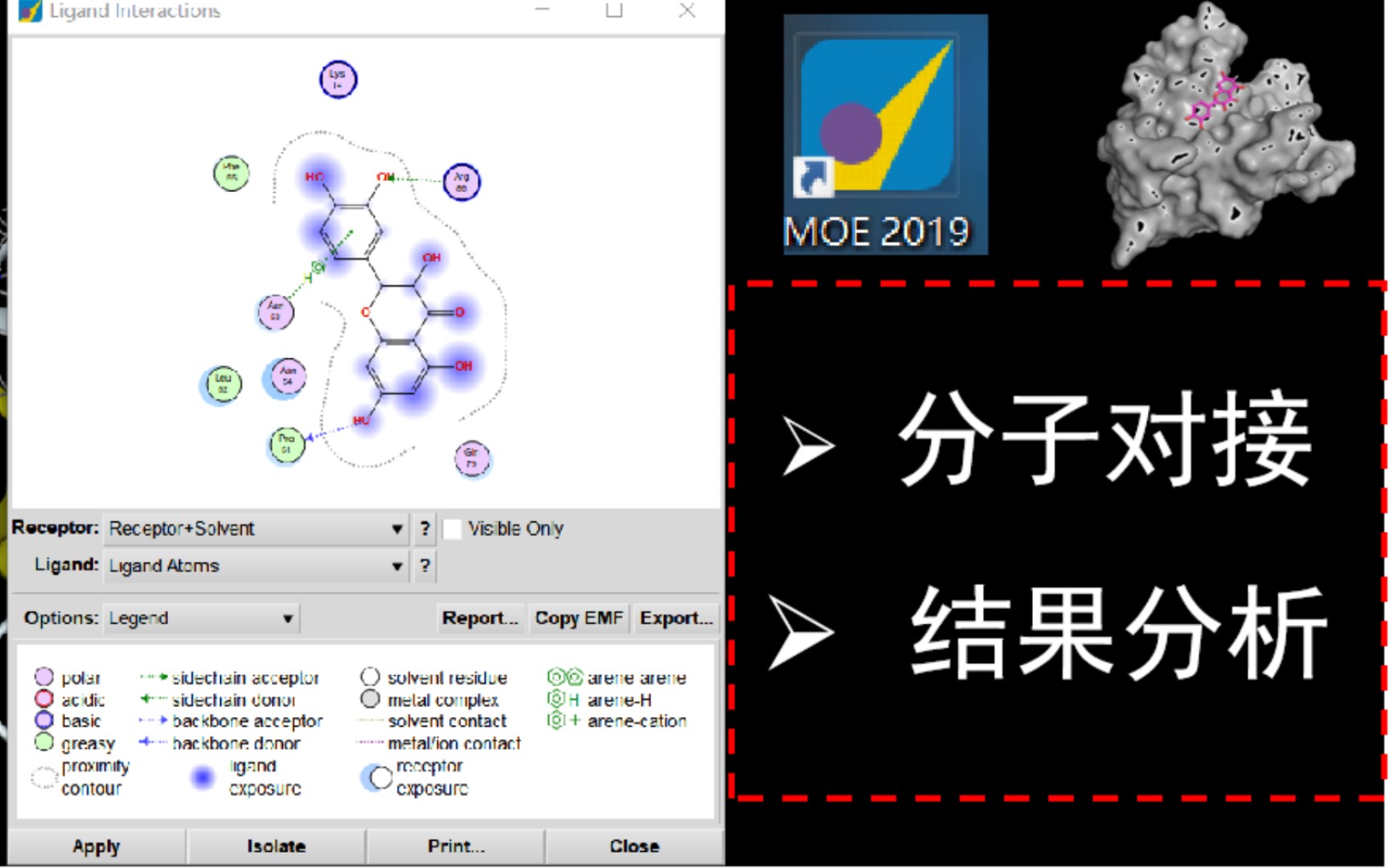 MOE分子对接及结果分析(作图)