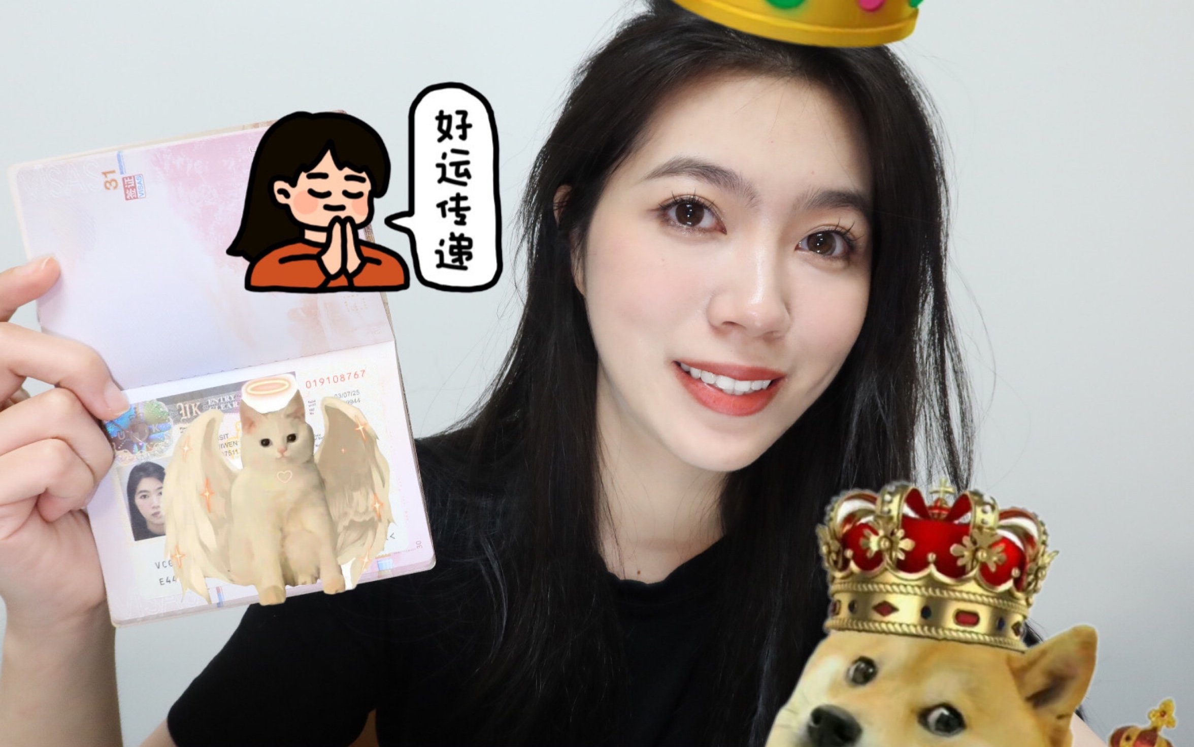 ...签DIY申请攻略|自己申请很简单绝不能被割韭菜!手把手教你还送模版!