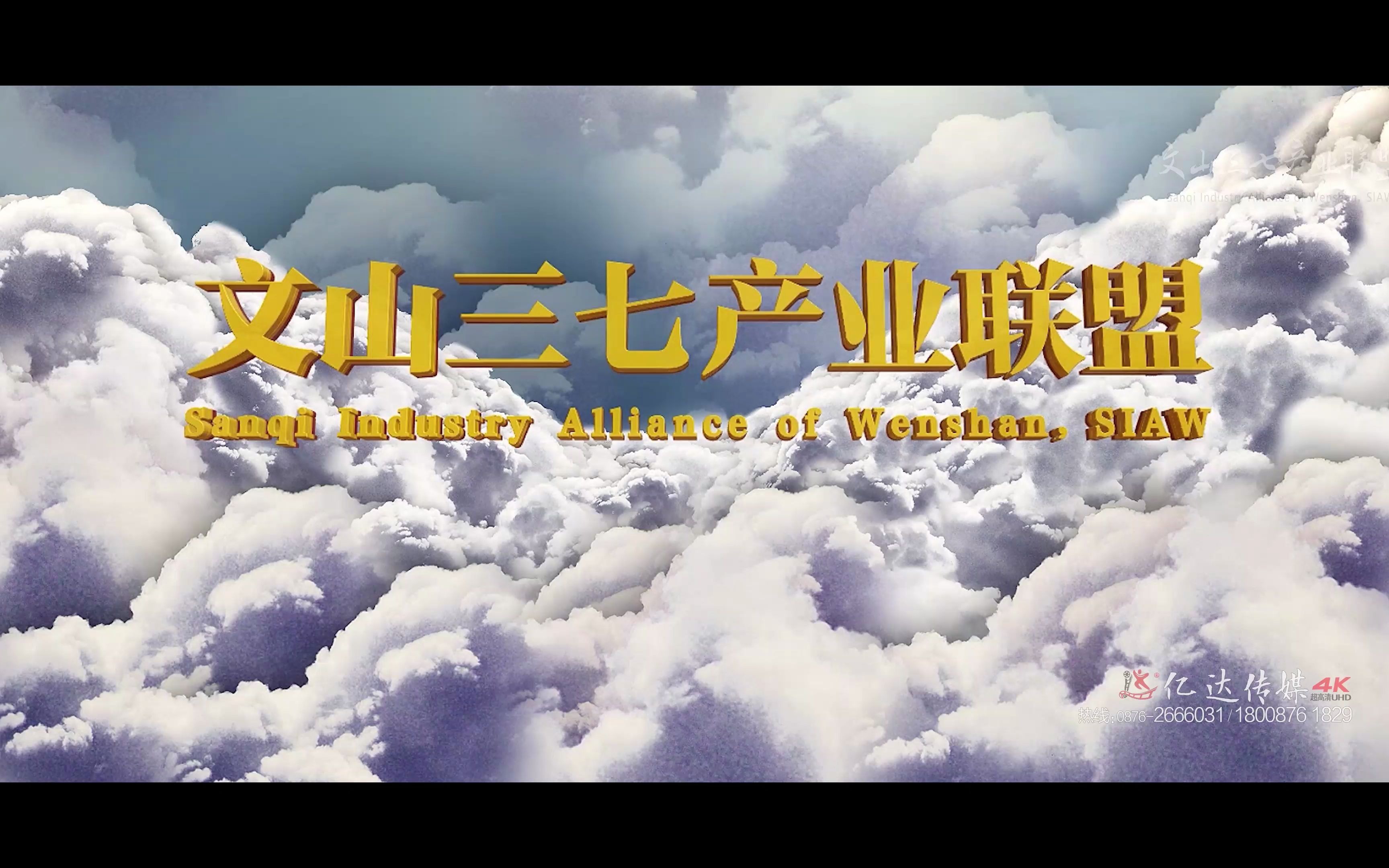 2020云南省文山三七企业联盟宣传片4K—企业篇.