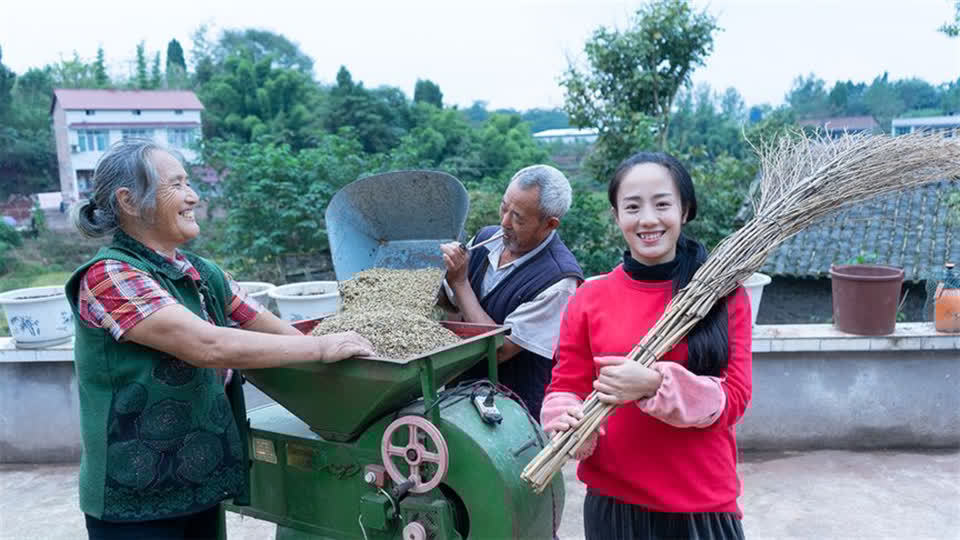 农村小妹帮奶奶收谷子,这种风车你见过吗