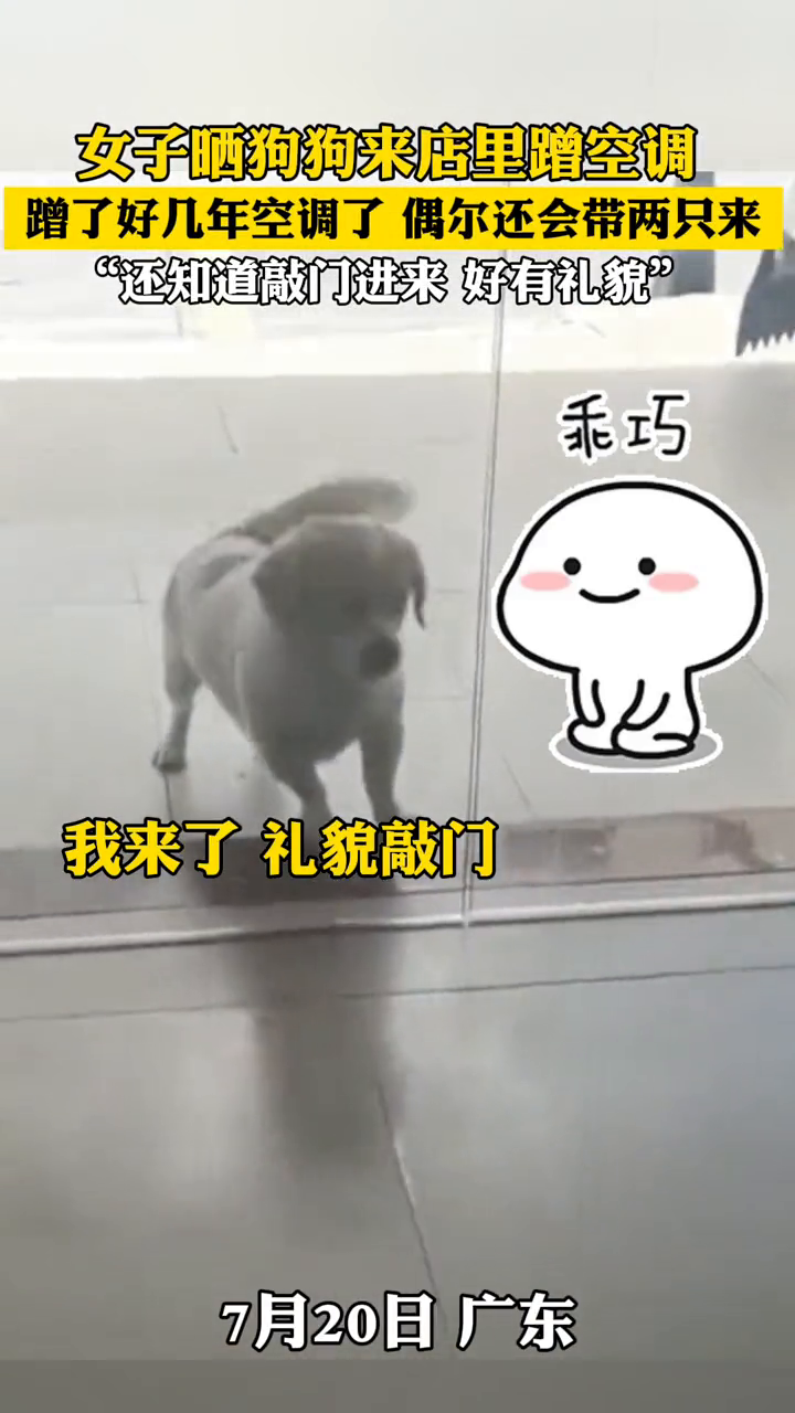 还知道敲门进来好有礼貌