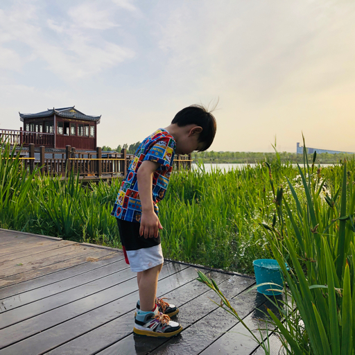 国旗下的向日葵 