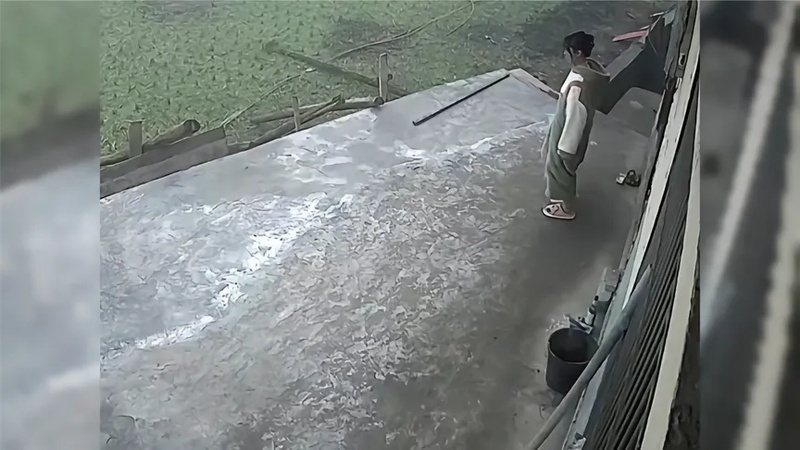监控下的一幕