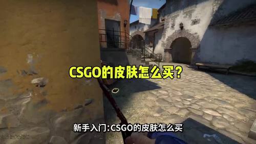 新手入门:CSGO的皮肤怎么买?CSGO优先状态怎么开通?