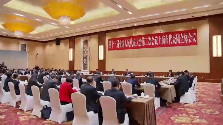 #全国媒体在两会#上海代表团审议政府工作报告,李强发言强调这些