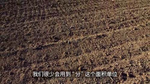 1分地究竟有多大?揭秘农村土地单位换算,别再傻傻分不清!