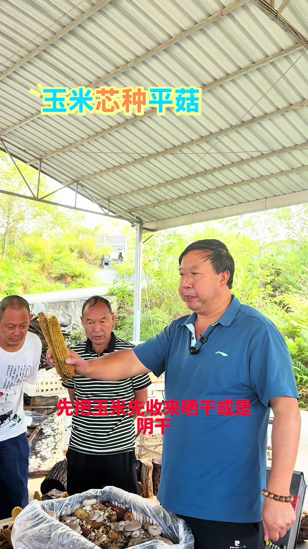 不起眼的玉米芯,也有大用途,值得大家学起来哦#技术培训#食用菌 #...