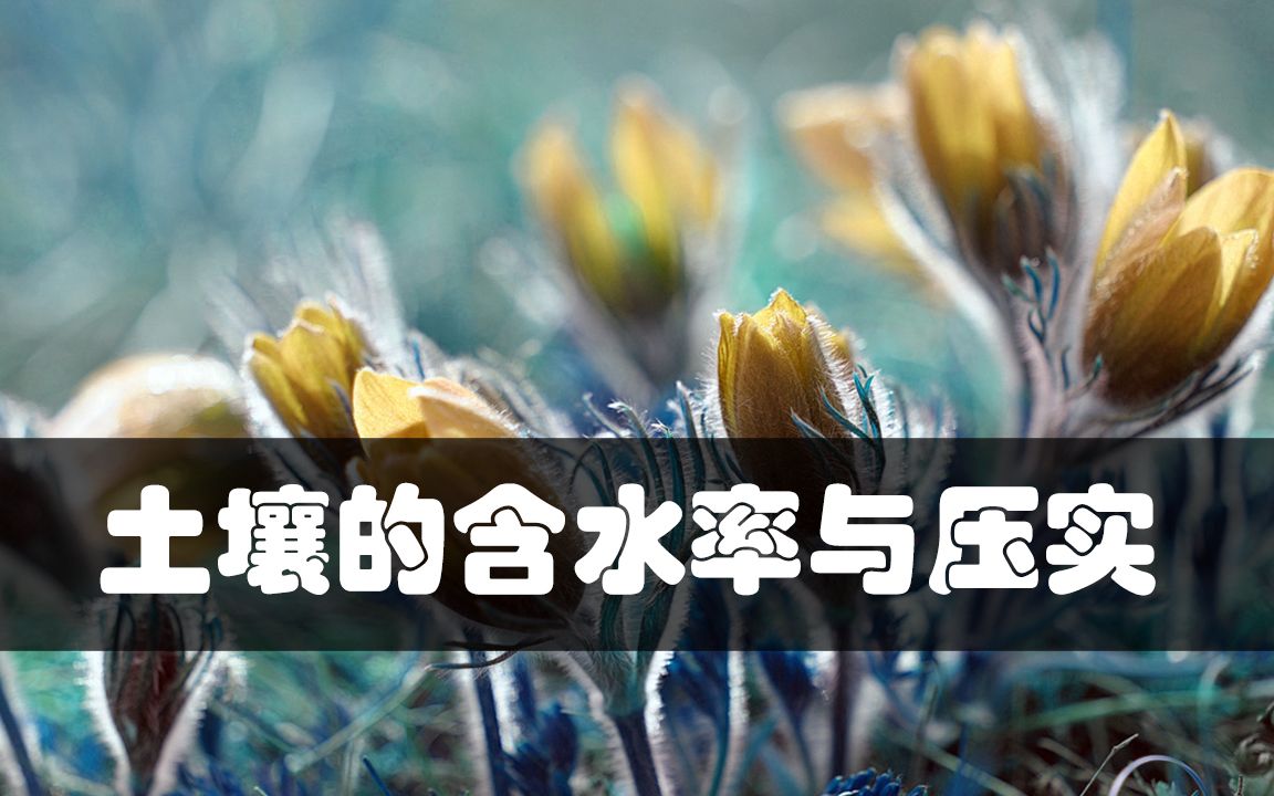 土壤的含水率与压实