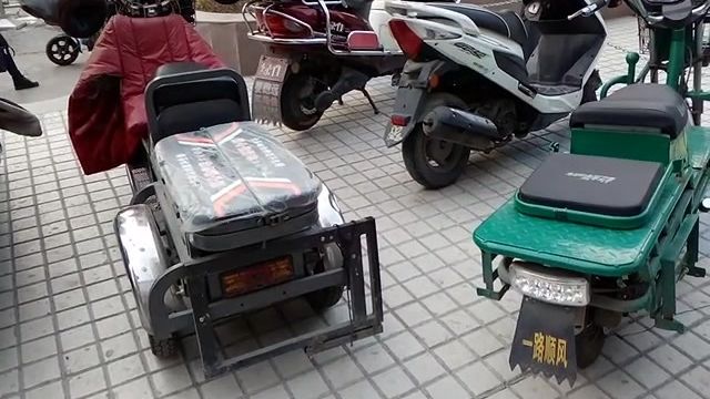 拉货专用的2款电动车,见过吗?