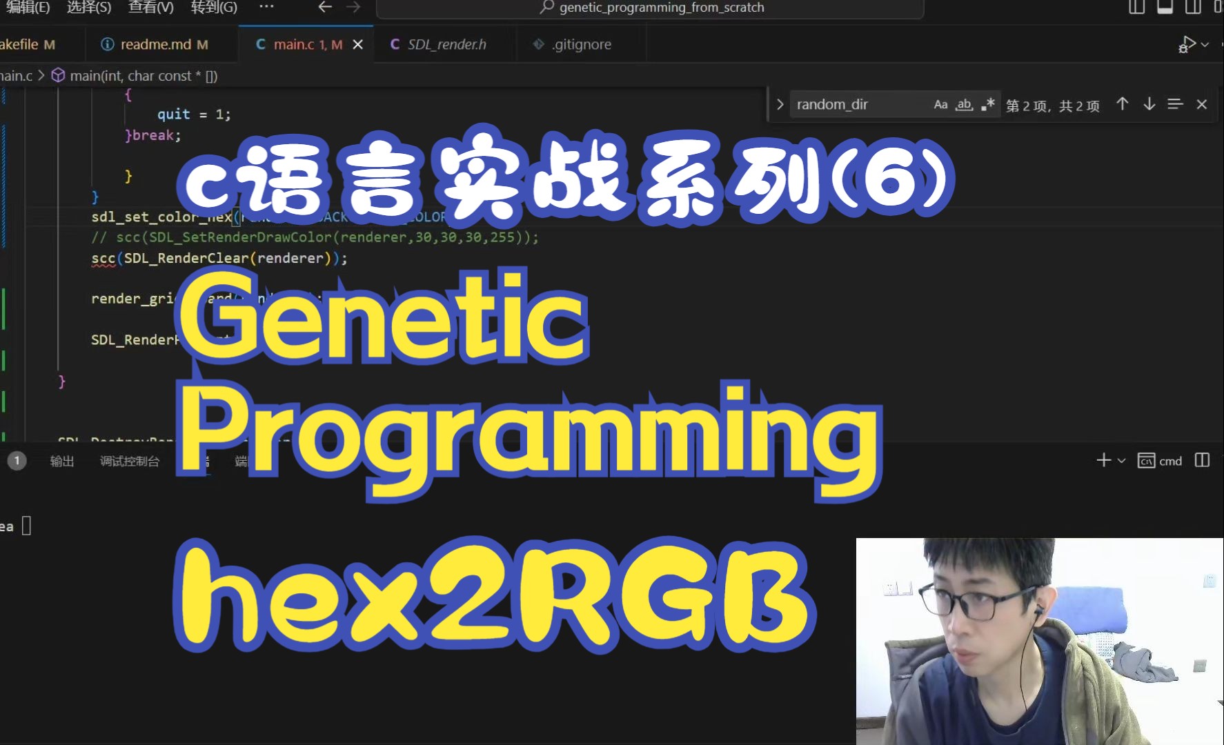 c语言实战系列 genetic programming(6) hex转换rg