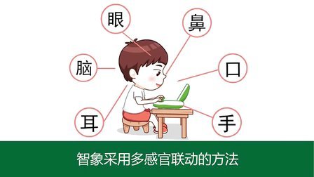 多感官联动学习法