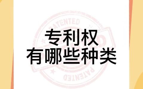 专利权有哪些种类?
