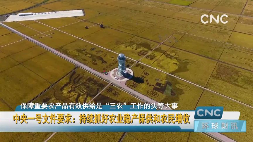 中央一号文件要求:持续抓好农业稳产保供和农民增收