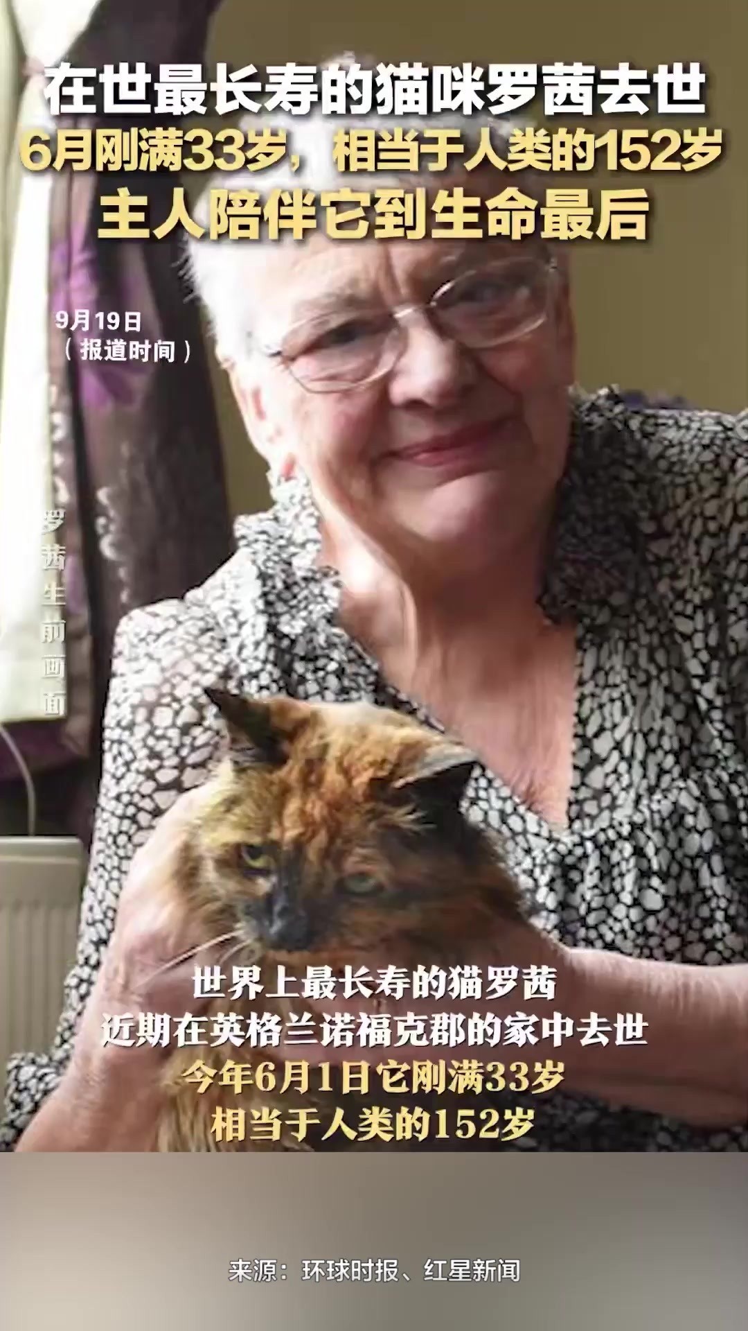在世最长寿的猫咪罗茜去世,6月刚满33岁,相当于人类的152岁