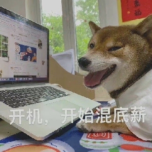 江川是个少年啊 