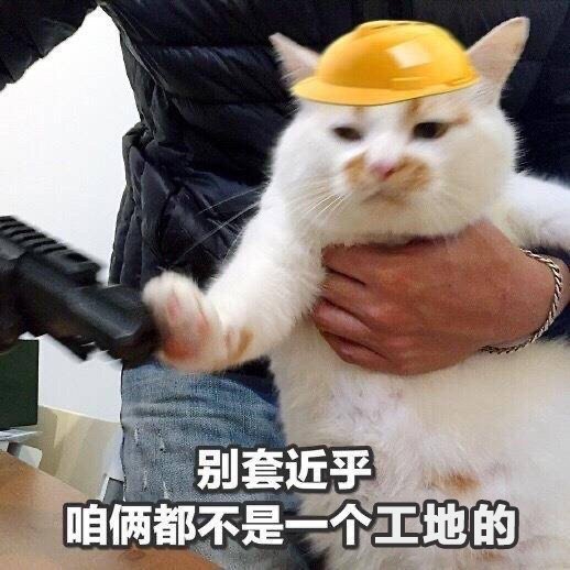 红牛真是红 