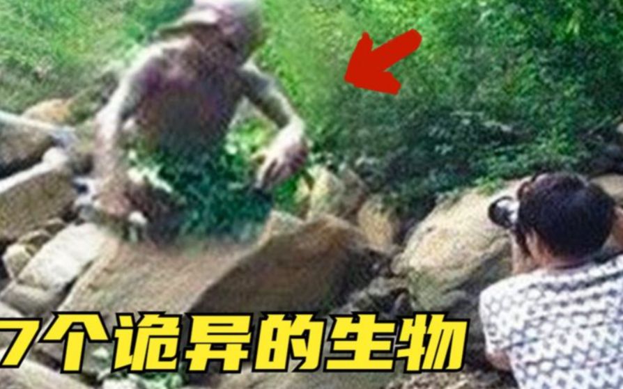 7个全世界最诡异的生物,攻击人类,酷似外星人?