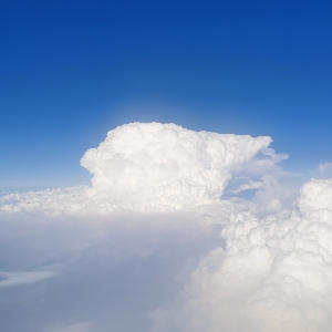 天上一条小小鱼 