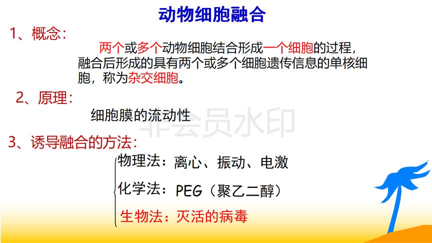 高中生物选修三精讲课堂——动物细胞融合概念与过程