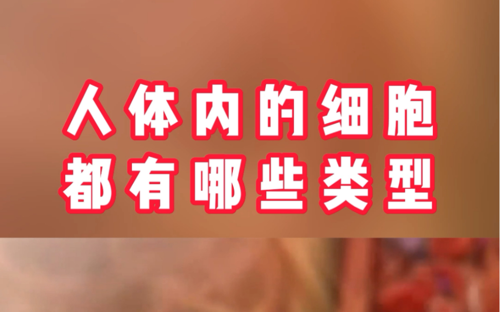 人体内的细胞都有哪些的类型?