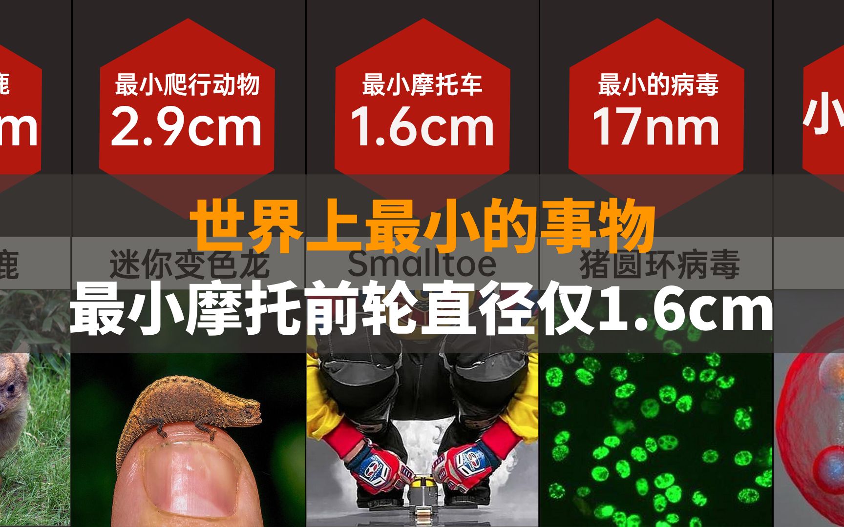 对比数据:最小的事物,宇宙中最小的东西有多小?