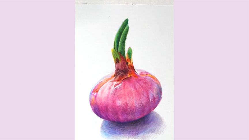 彩铅画|超详细简单的洋葱教程