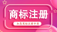注册商标代办流程,代办注册商标代理收费多少钱【标池分享】