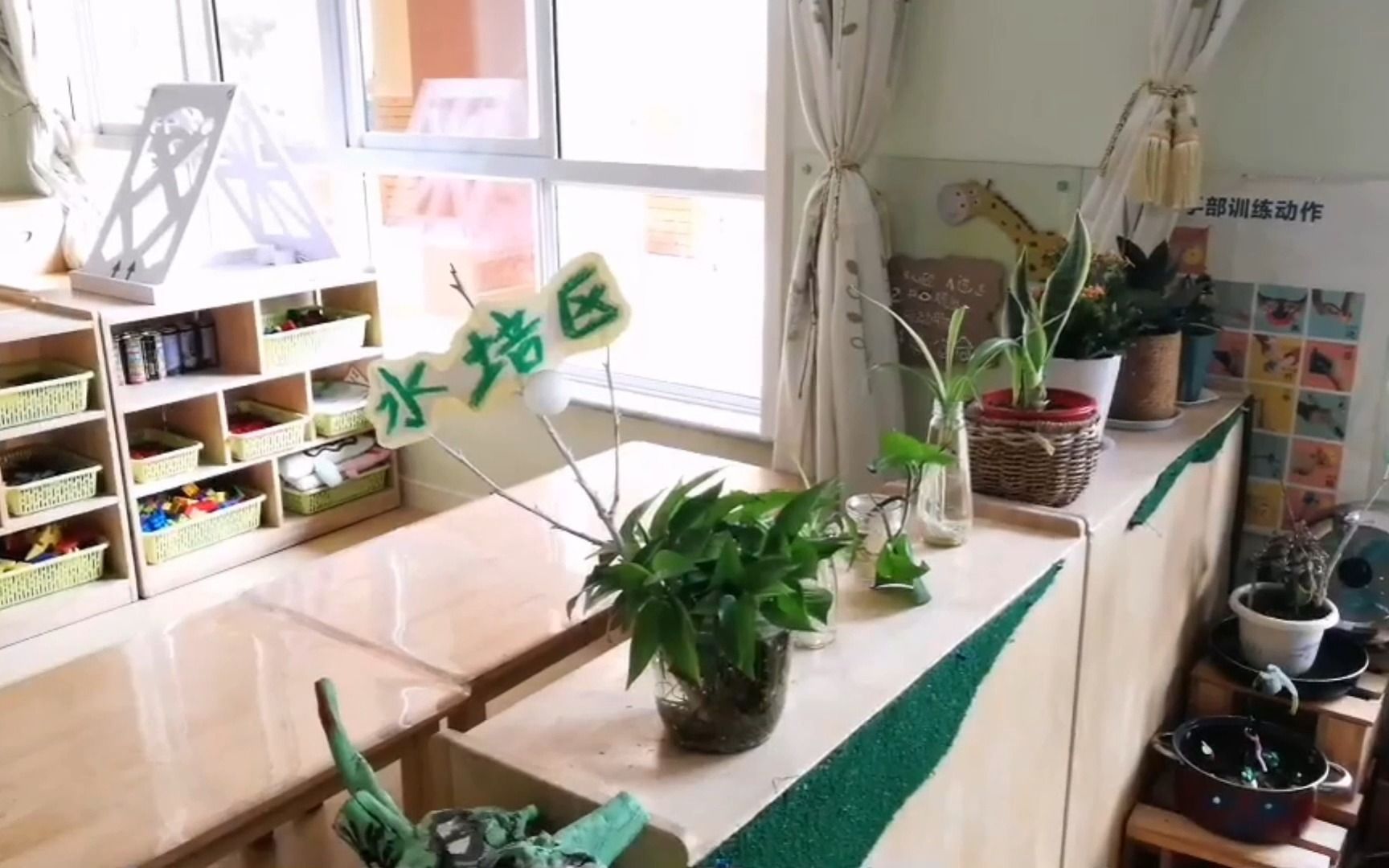 《小海马植物角》.mp4