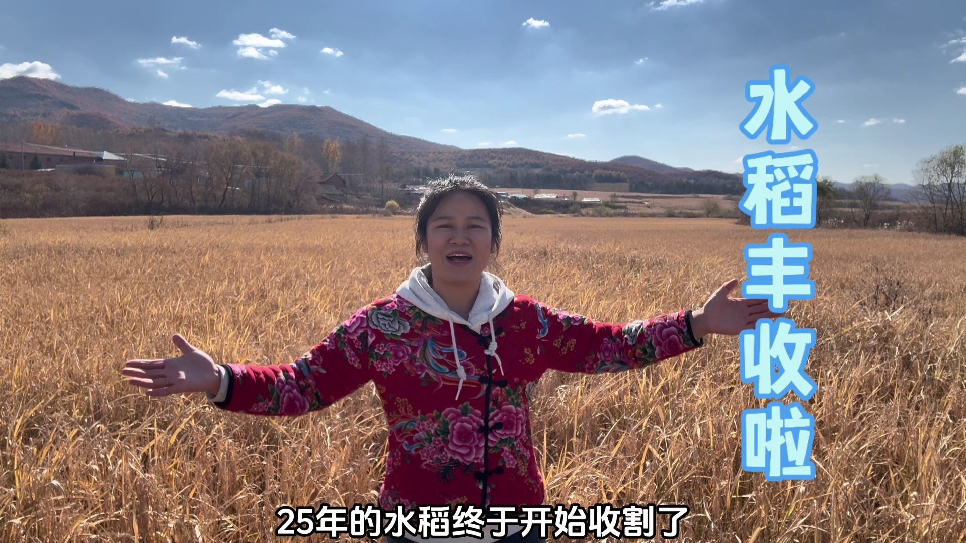 又是一年丰收季,家乡的水稻成熟啦,带大家感受下丰收的喜悦!