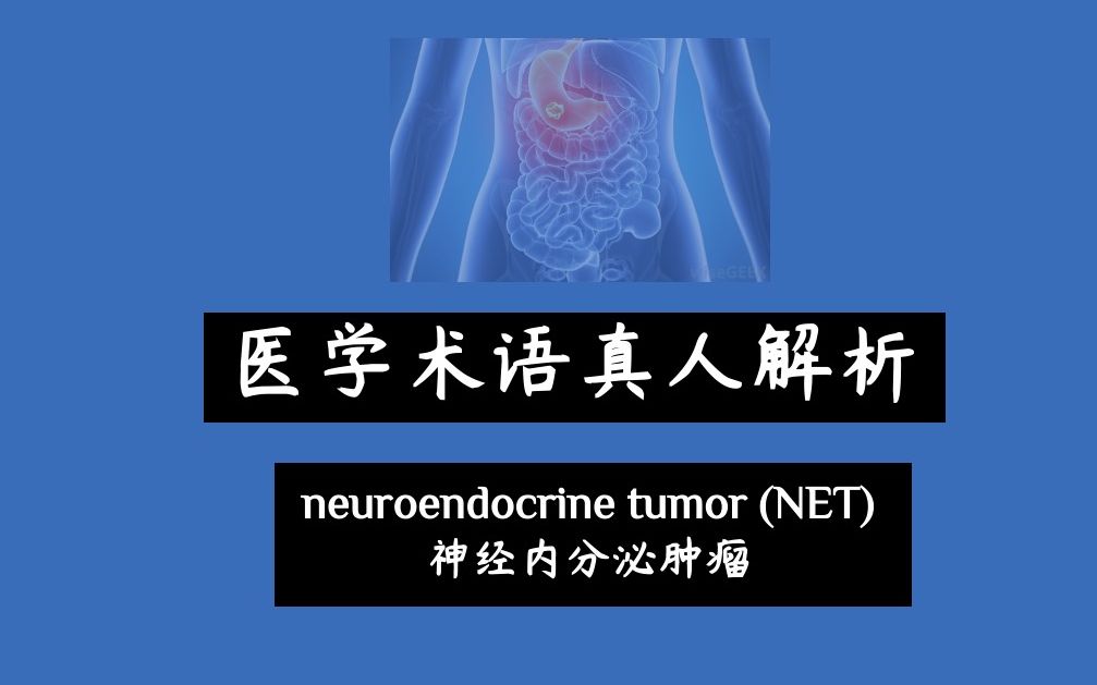 【医学术语真人解析】神经内分泌肿瘤(NET)