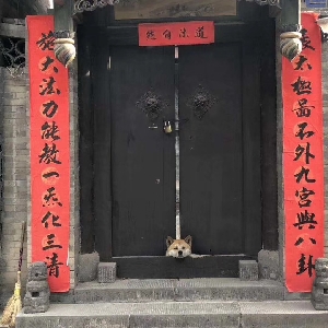 秋千垂在月明中 