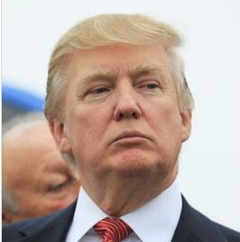 灰机的快乐生活 