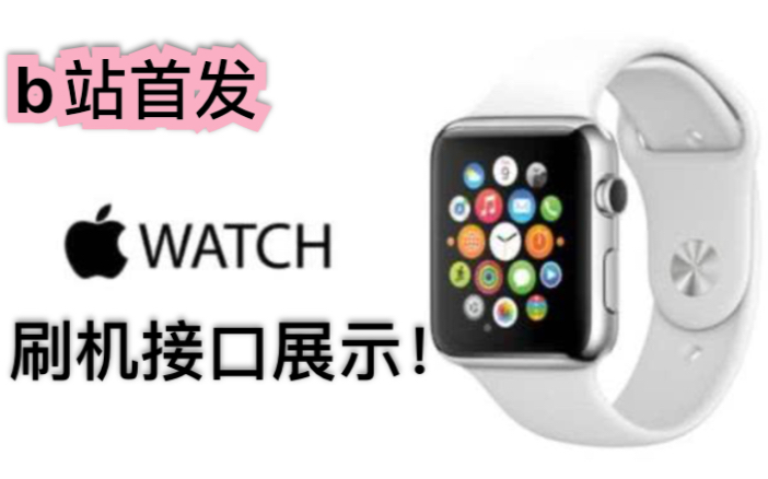 b站第一人!Apple watch 刷机接口展示
