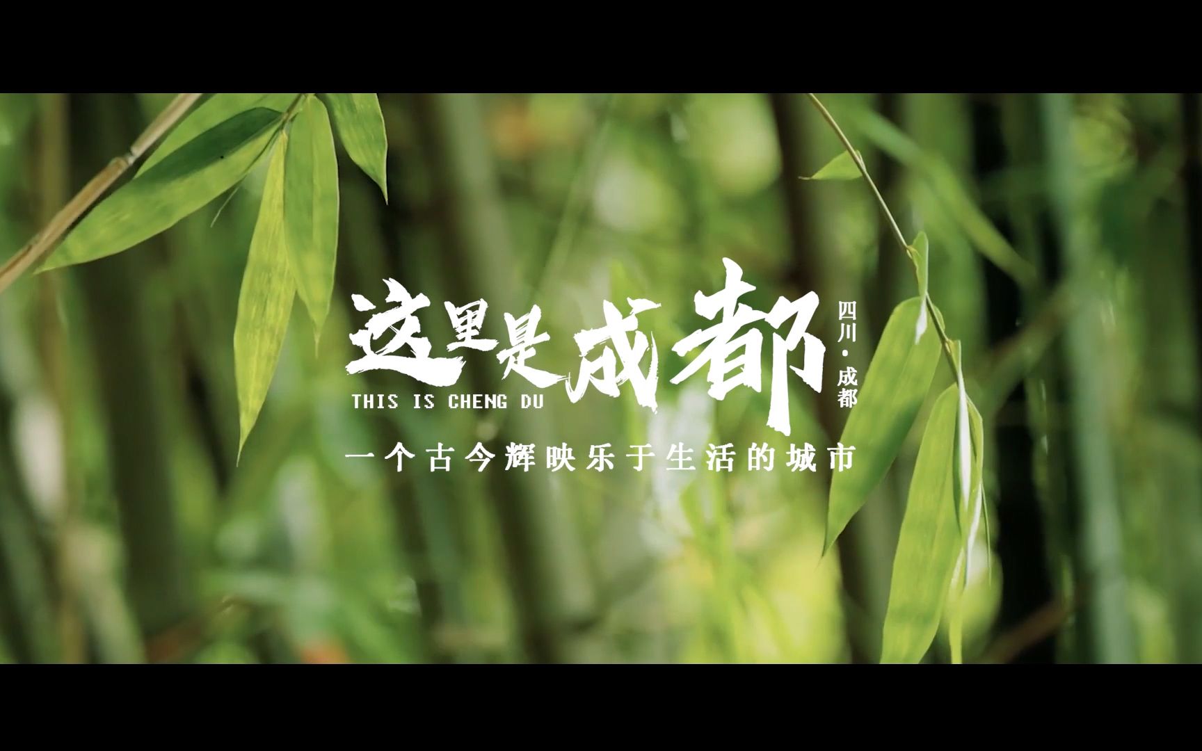 《成都城市宣传片》混剪练习
