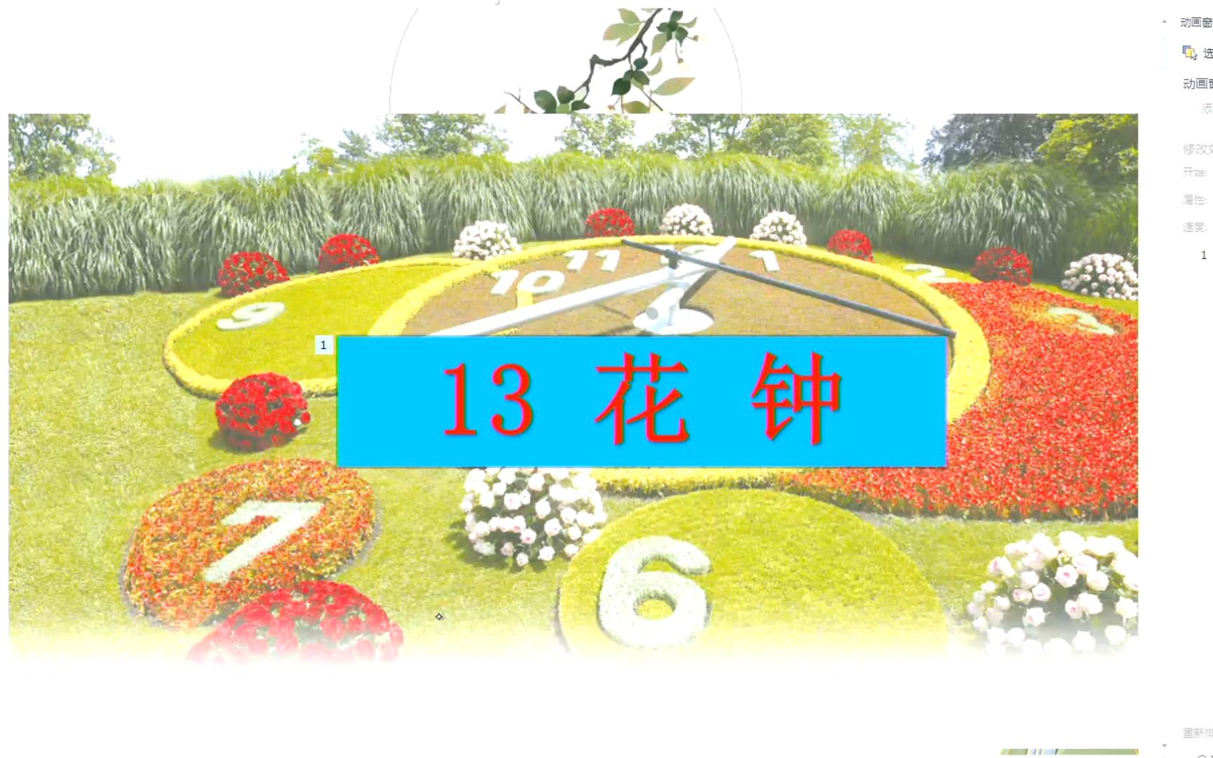 小学三年级语文 13 花钟 课堂实录