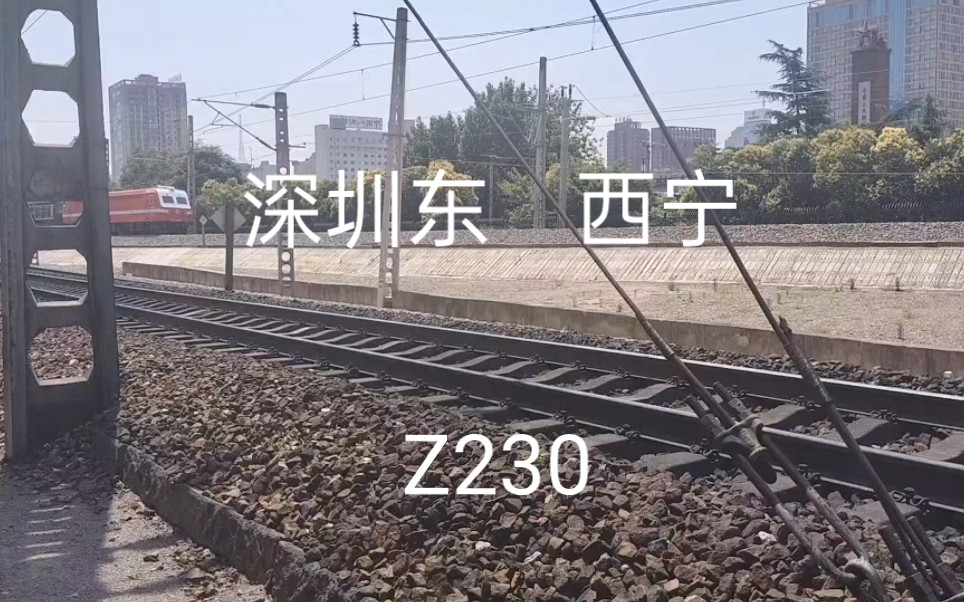 广州铁路局广州客运段运营的,由深圳东开往西宁的Z230次旅客列车