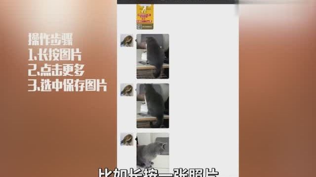 微信秘技:1分钟学会微信大批量图片,一键保存