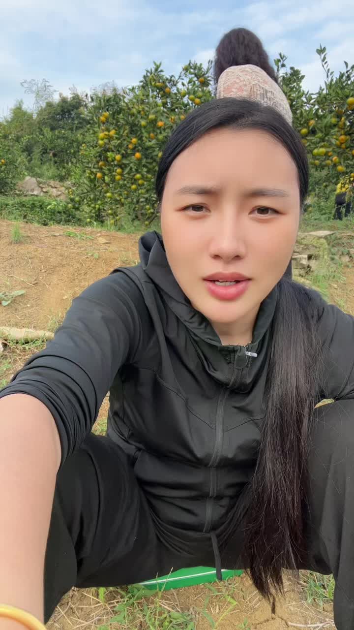 #技术路线图怎么画 #cad入门教程 #热点ppt #三线式表格怎么做 #vba...